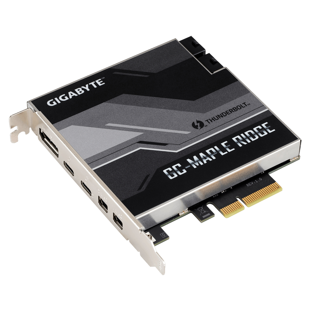 Gigabyte GC-MAPLE RIDGE interface cards/adapter Internal DisplayPort ...