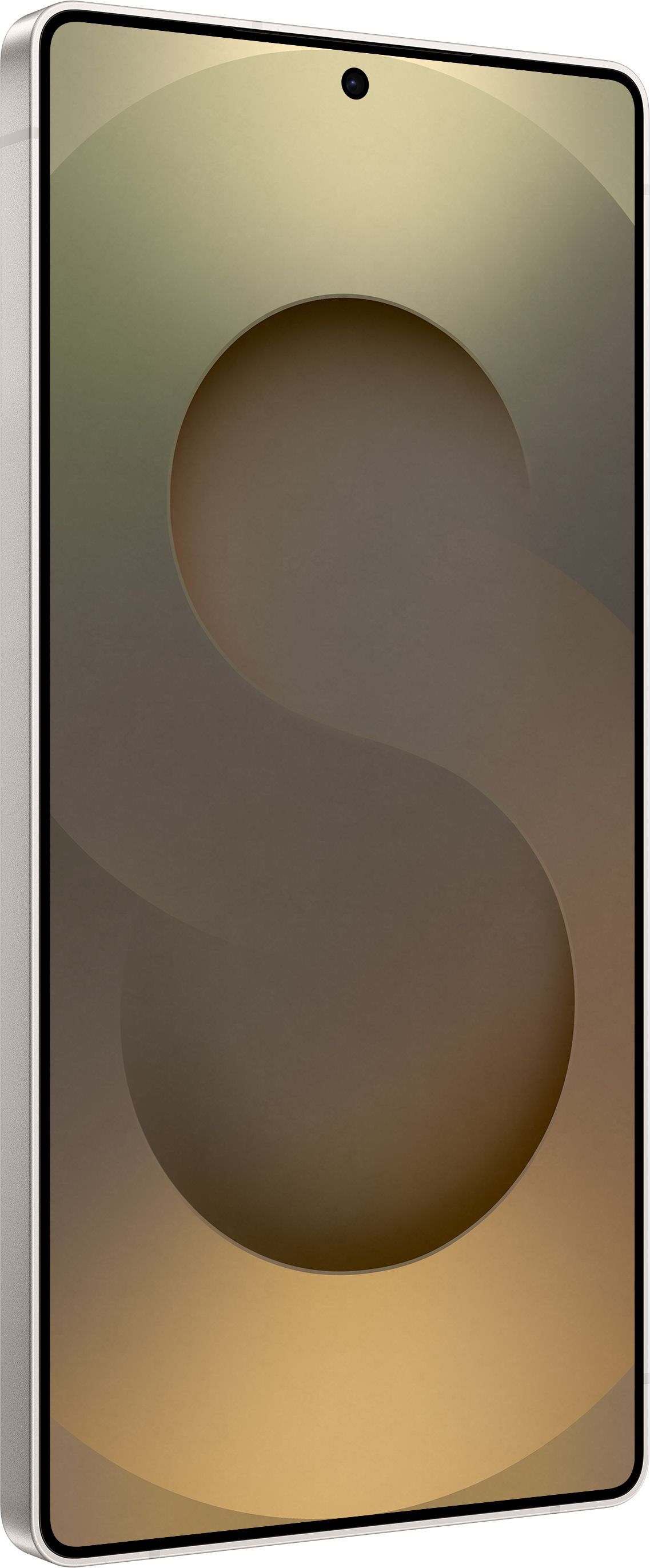 Samsung Galaxy S25 Ultra 17.5 cm (6.9") Dual SIM Android 15 5G USB Type ...